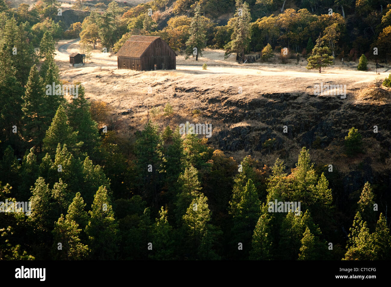 Barn with trees surrounding it Stock Photo - Alamy
