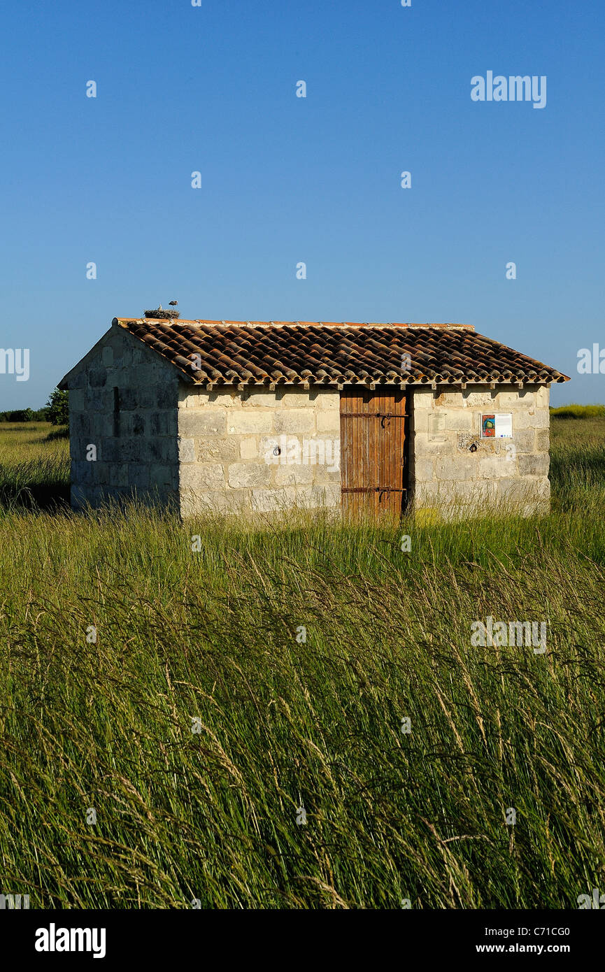 Typical barn in the swamps in Mortagne sur Gironde, Gironde estuary ...