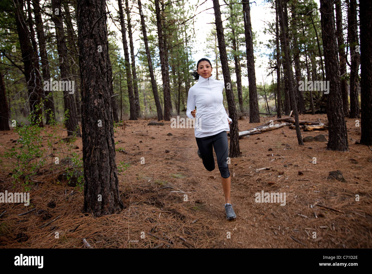 Female trail running in forest Stock Photo - Alamy