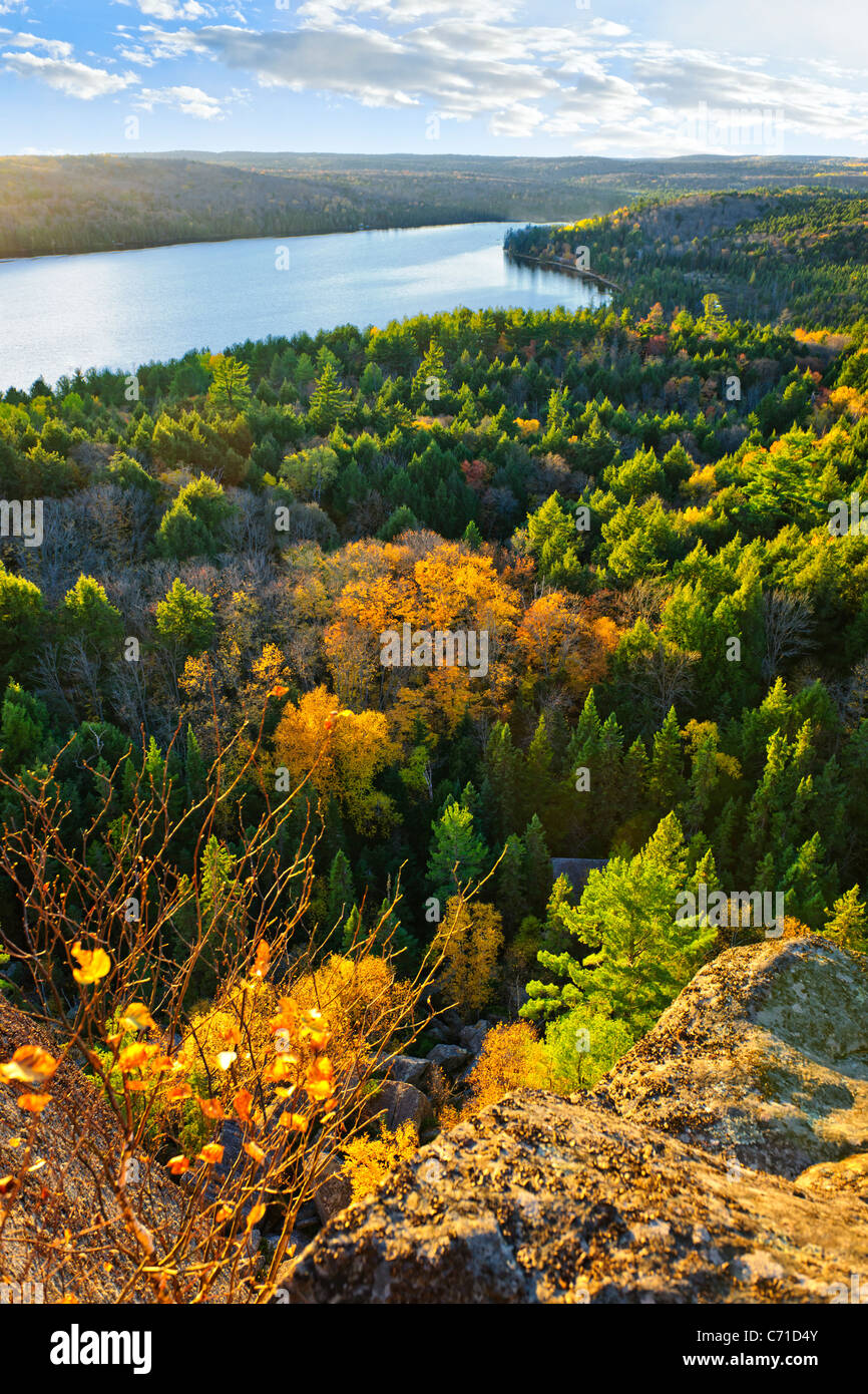 Lake and fall forest with colorful trees from above in Algonquin Park ...