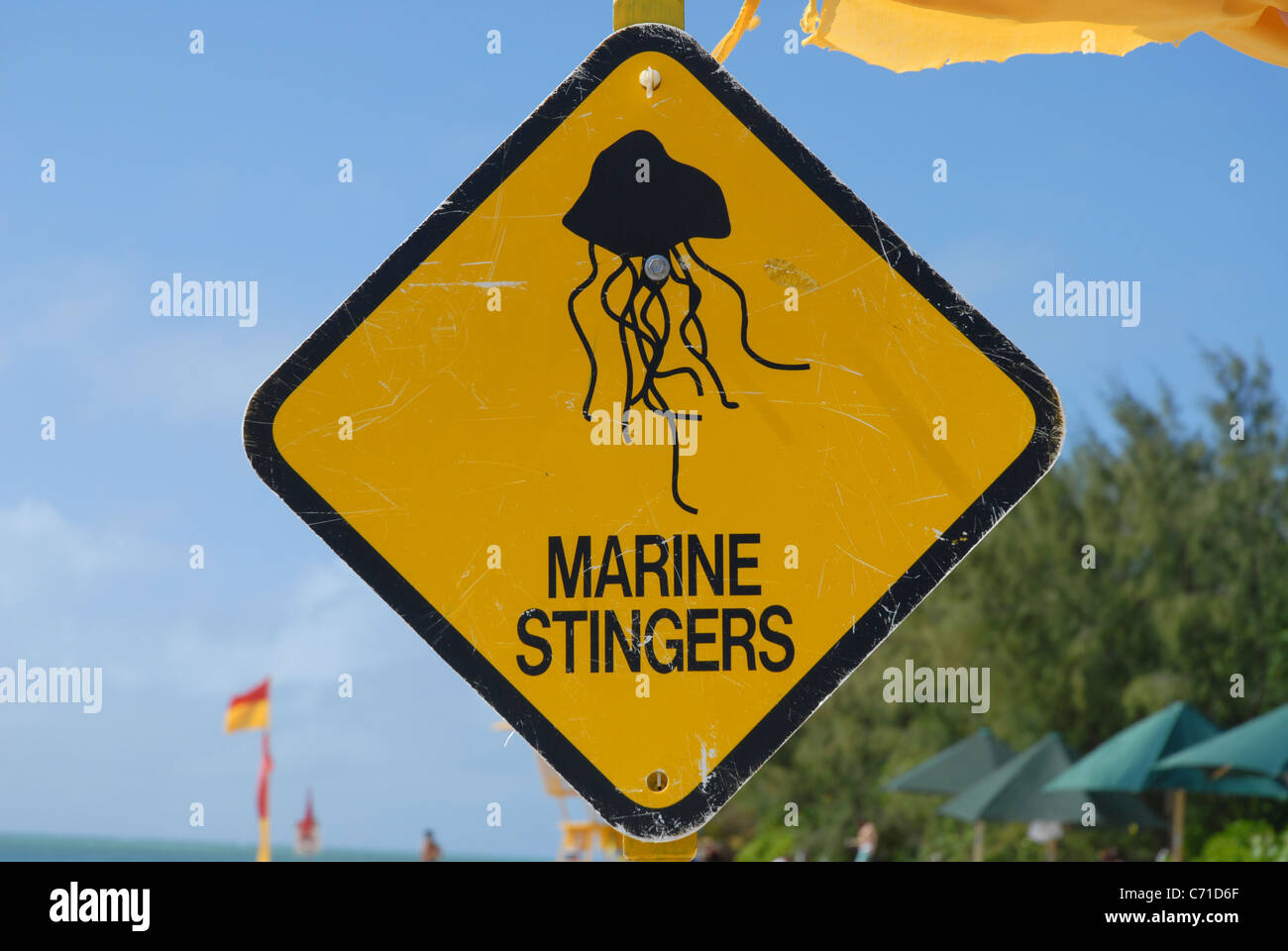 warning sign for Marine Stingers, Green Island, Great Barrier Reef ...