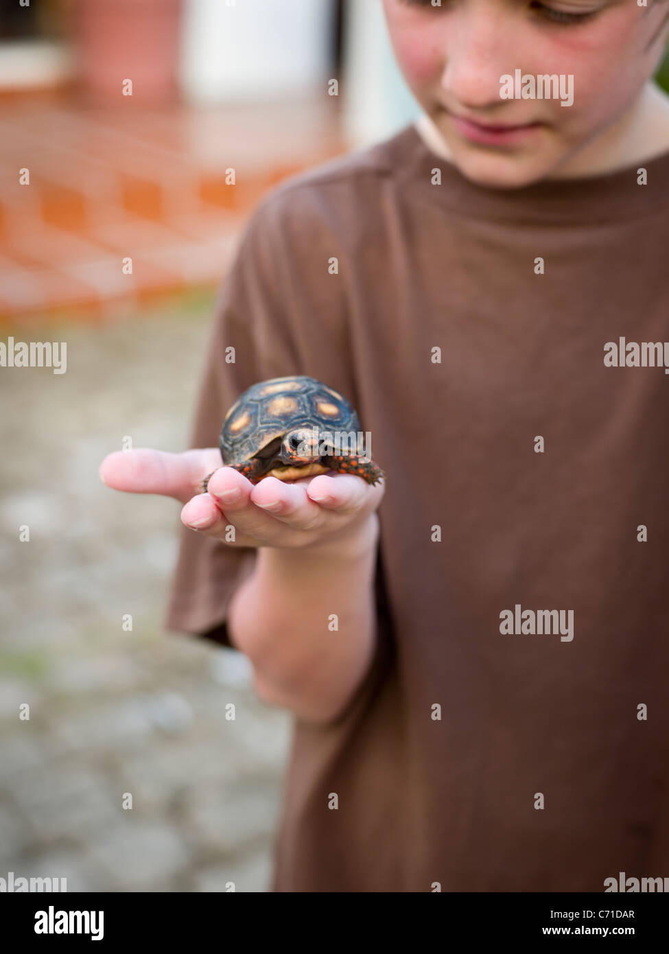 Turtle Boy High Resolution Stock Photography and Images - Alamy