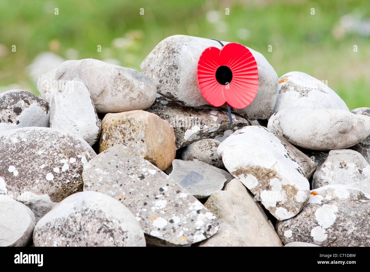 Remembrance day emblem hi-res stock photography and images - Alamy
