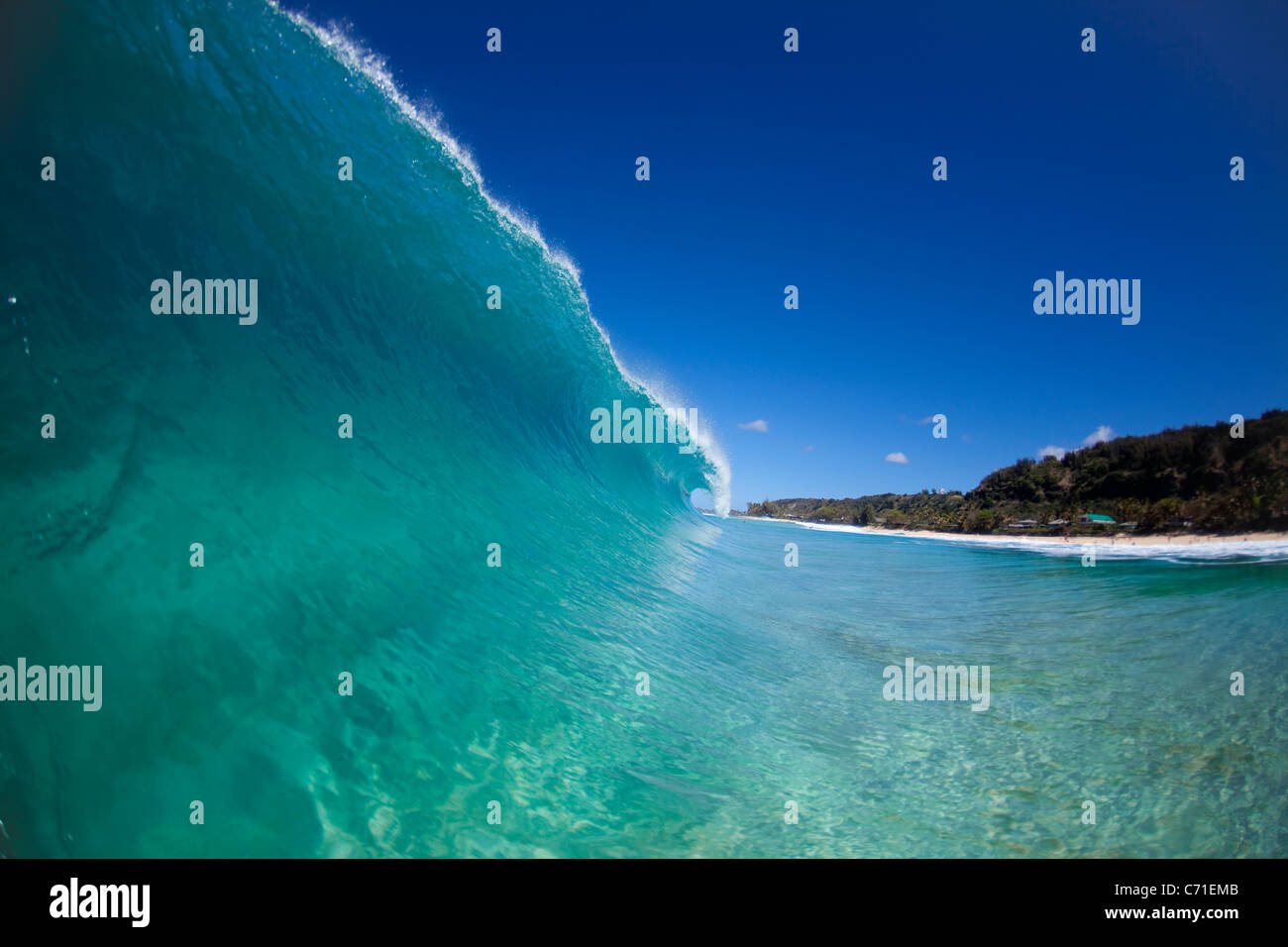 A water view of a perfectly barreling wave in Hawaii Stock Photo - Alamy