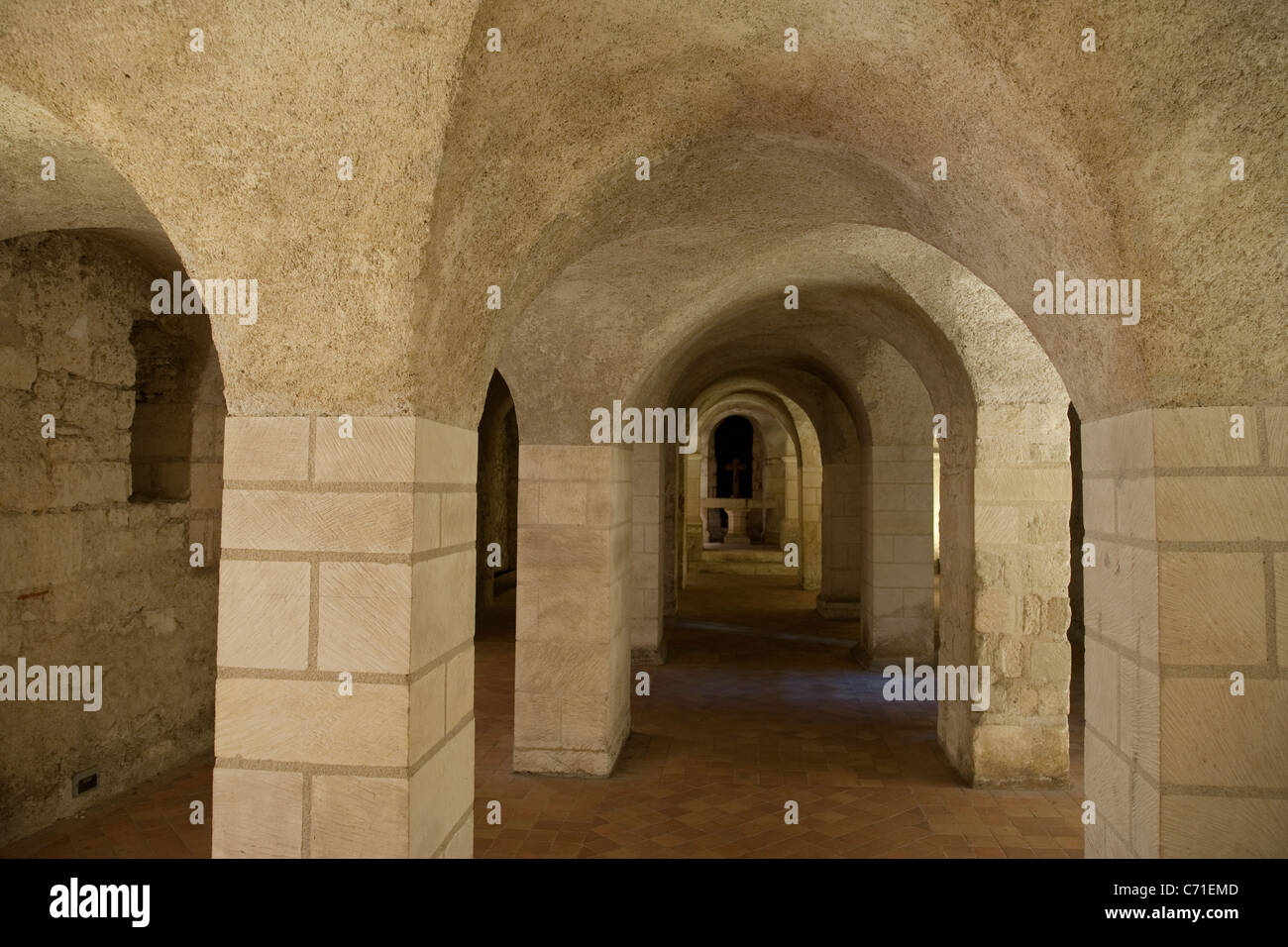 Crypt of St Louis Cathedral Church; Blois; Loire Valley; France; Europe ...