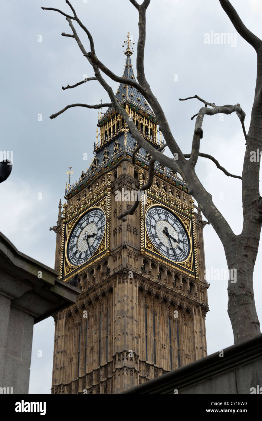 Big Ben's Clock Tower with tree. The high clock tower that houses the ...