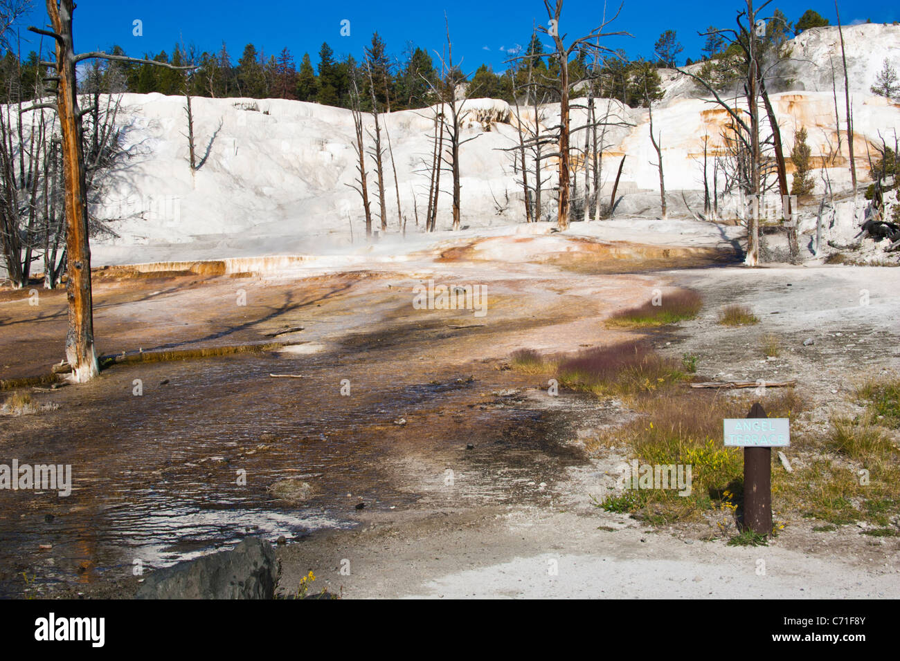 Travertine terrace formations hi-res stock photography and images - Alamy