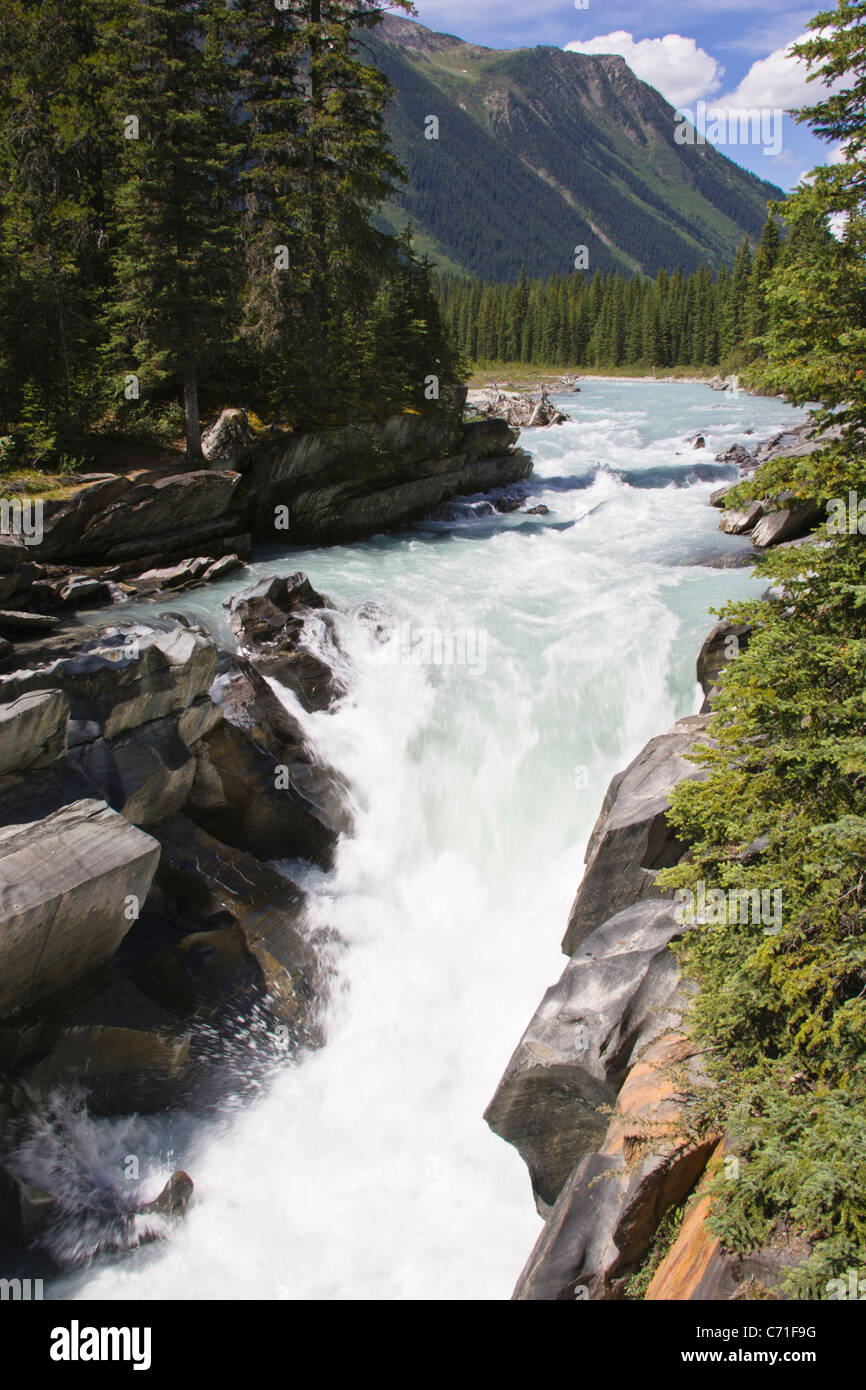Rapids and waterfall on Numa Creek, in Kootenay National Park, British ...