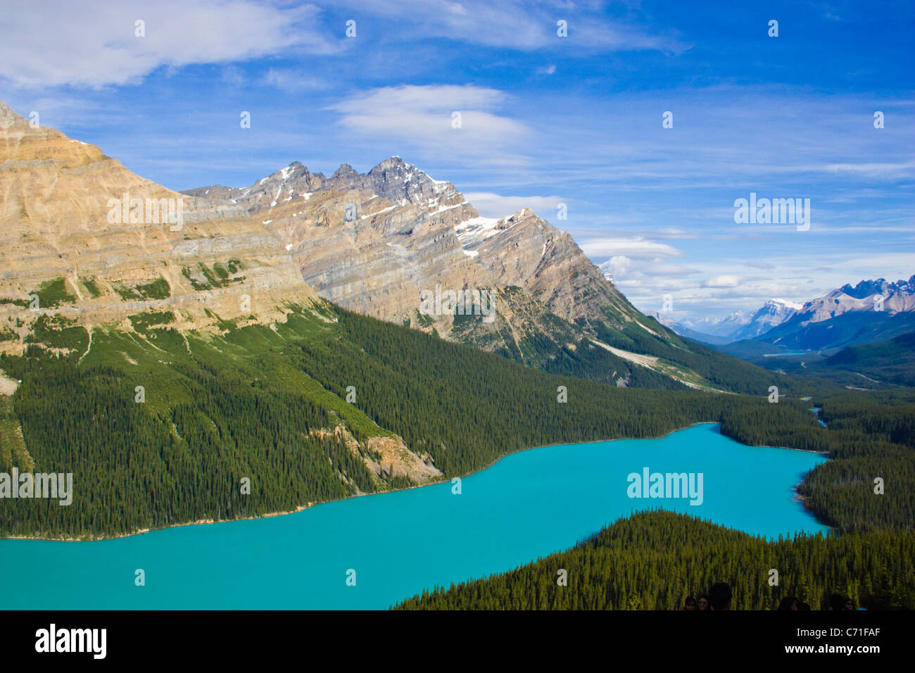 Peyto Lake is a spectacularly colored glacier-fed lake located in Banff ...