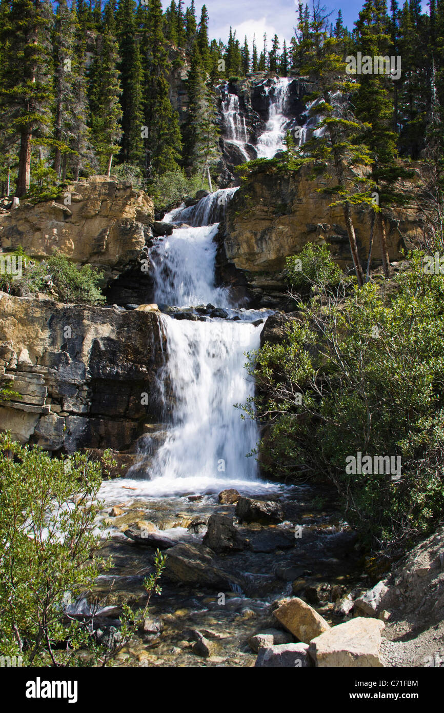 Tangle Falls in Jasper National Park, Alberta, Canada, along the ...