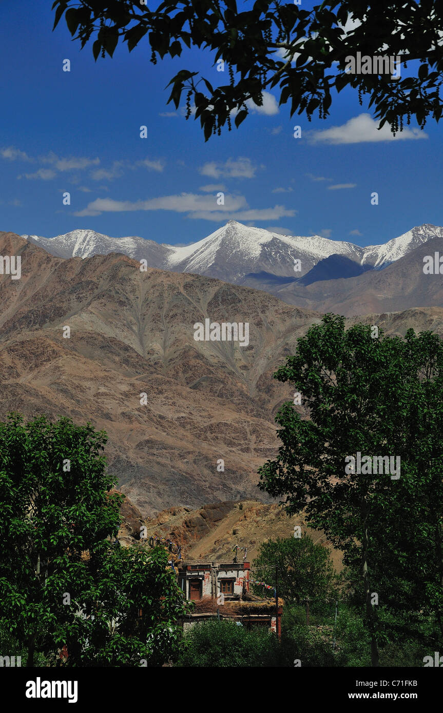 Mountain view from Hemis village Stock Photo - Alamy