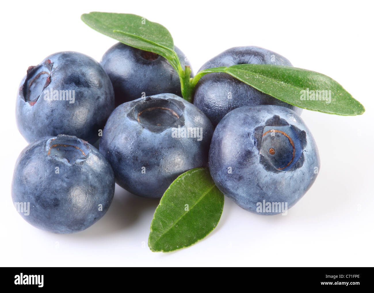 Blueberries with leaves on white background Stock Photo - Alamy