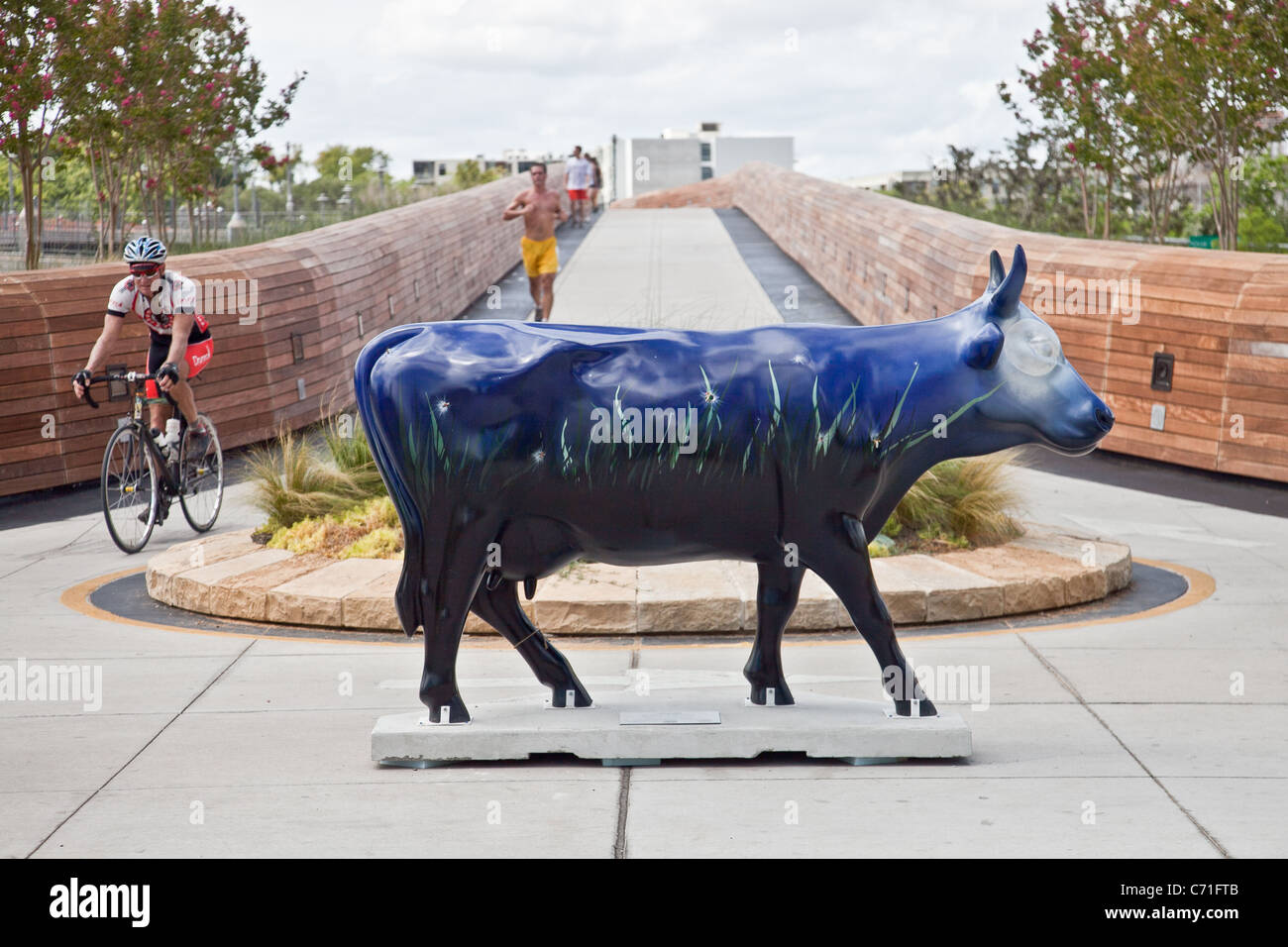 Austin Art Cow Parade - Austin, Texas 2011 Stock Photo - Alamy