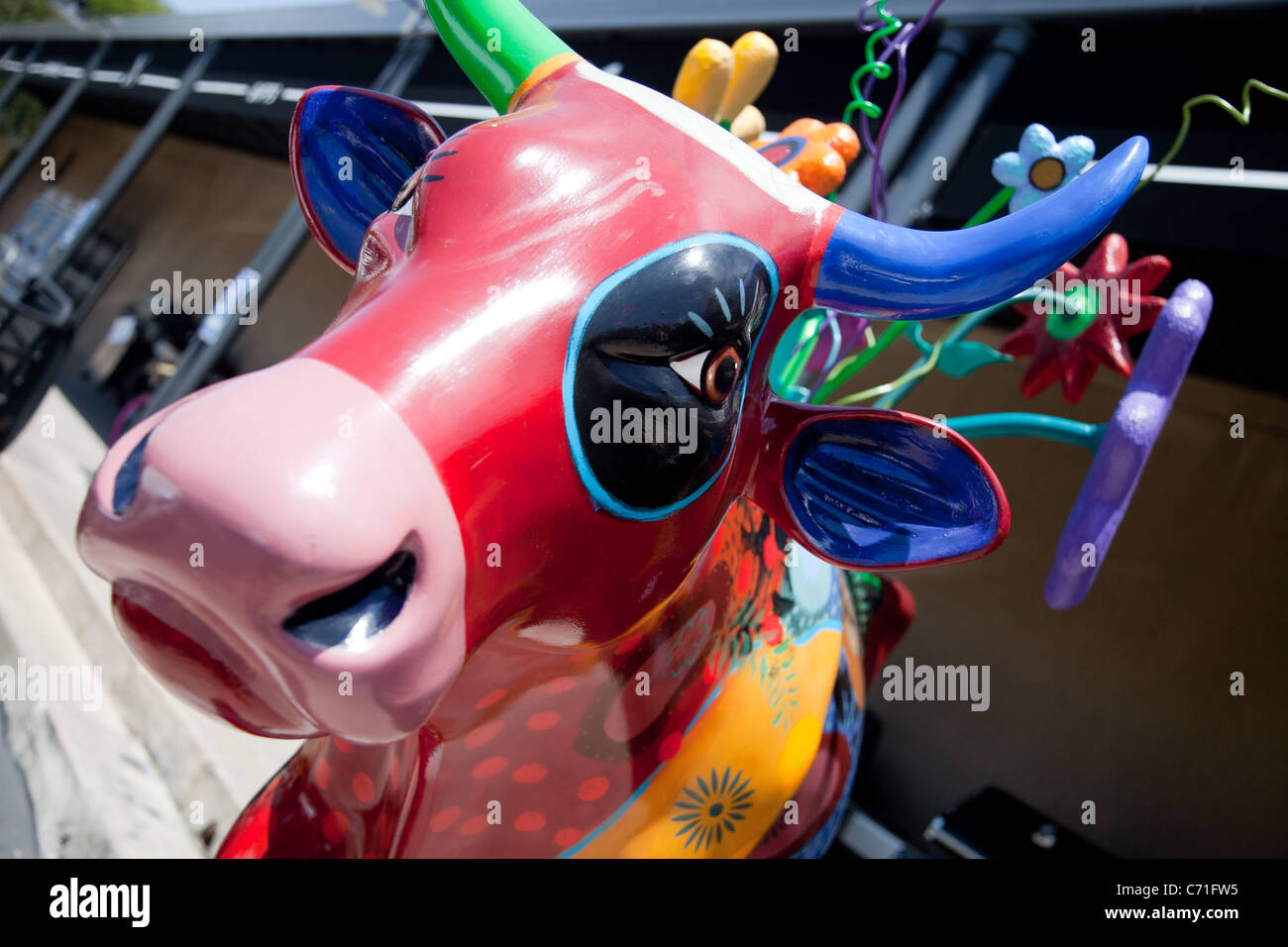Austin texas cow parade hi-res stock photography and images - Alamy