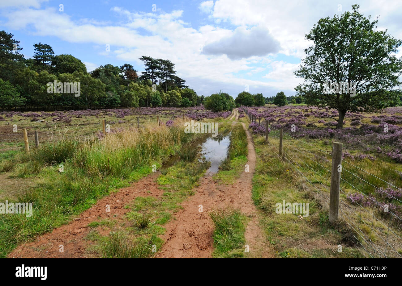 Heather cutting hi-res stock photography and images - Alamy