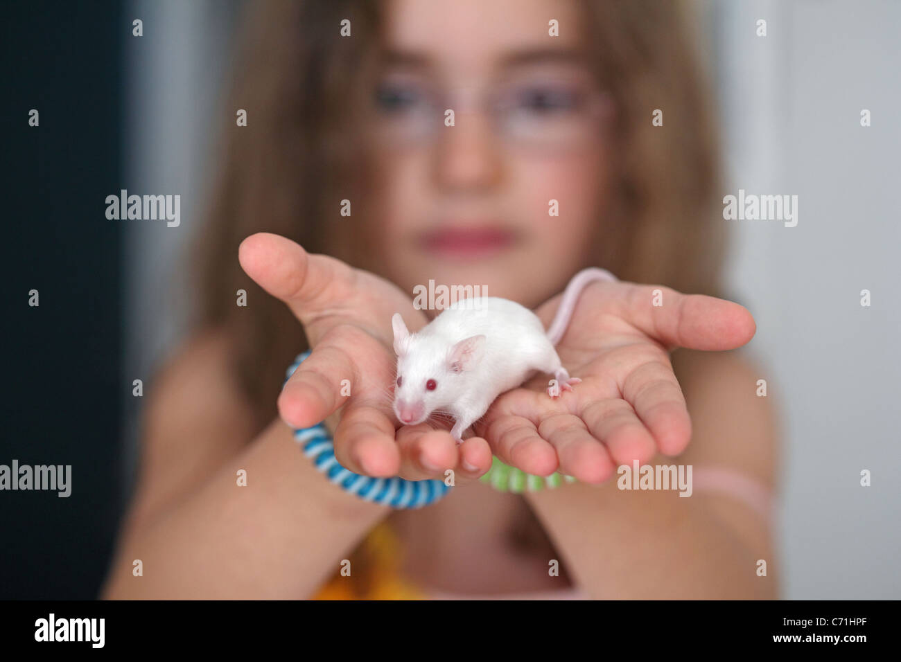 girl holding white mouse pet Stock Photo - Alamy