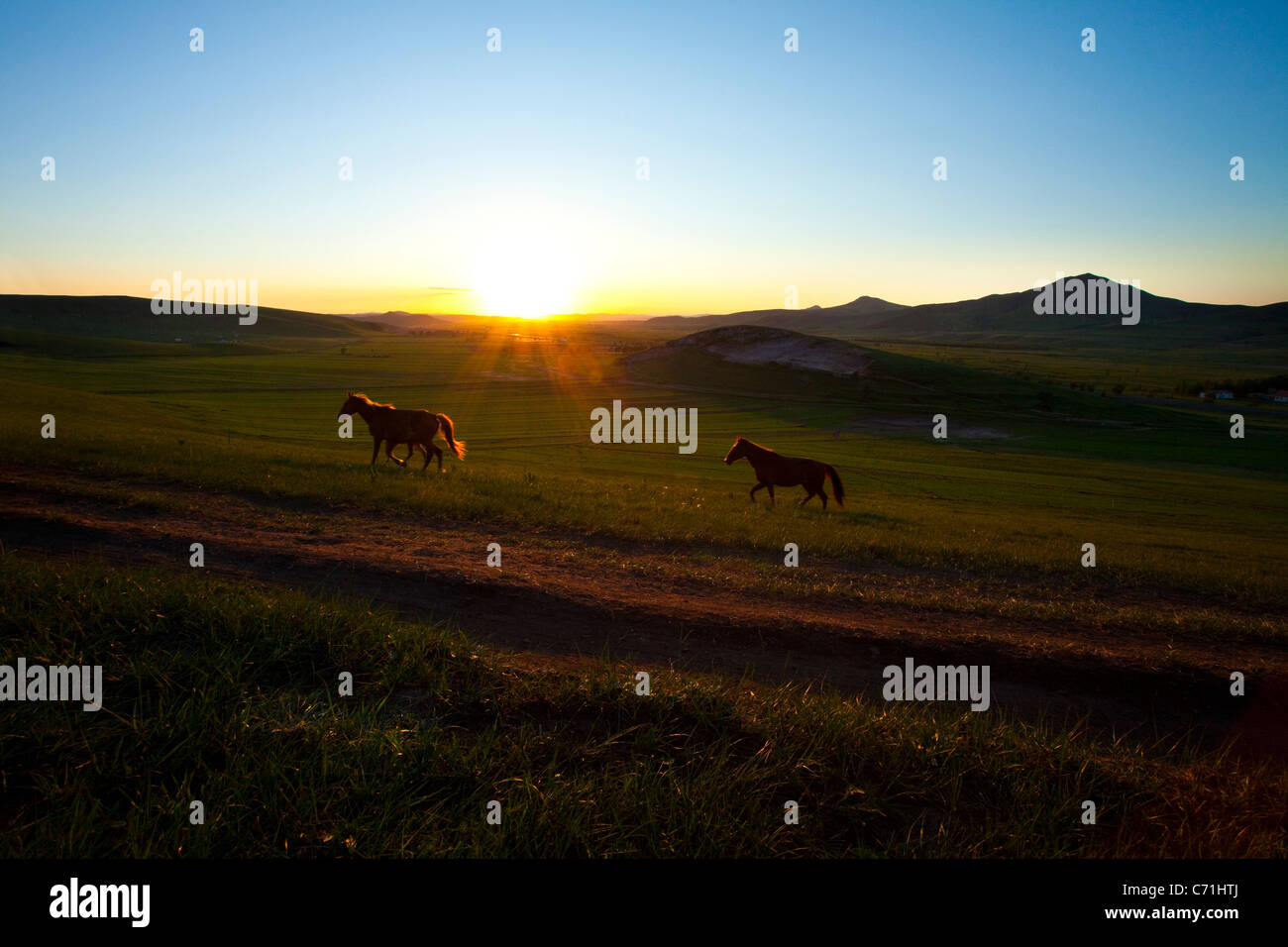 Sunrise over wild horse hi-res stock photography and images - Alamy