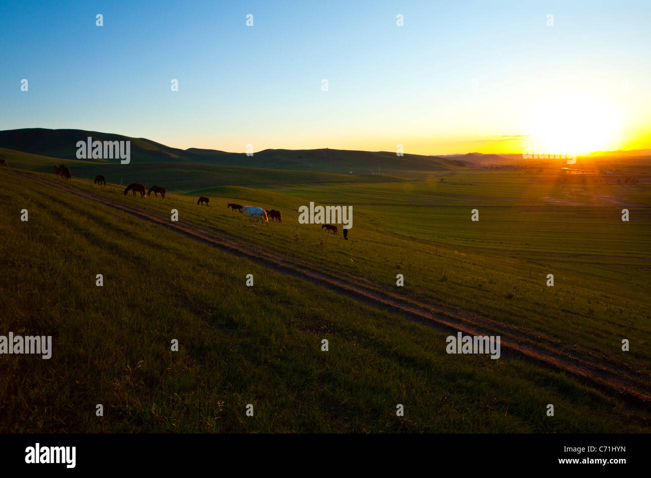 Sun Rising Over The Horizon High Resolution Stock Photography and ...