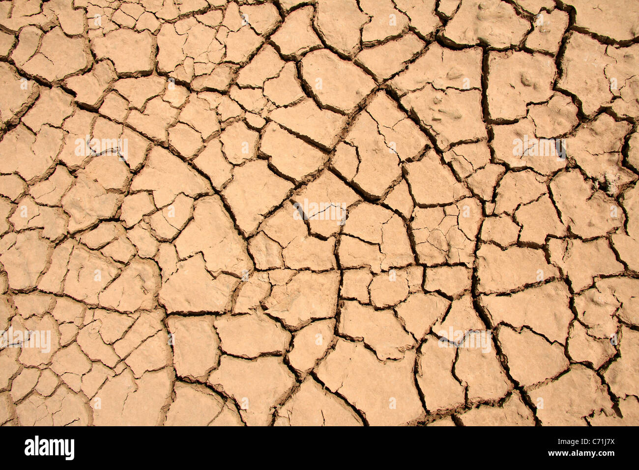 Detail dry arid cracked baked earth near Agadir, Morocco Stock Photo ...