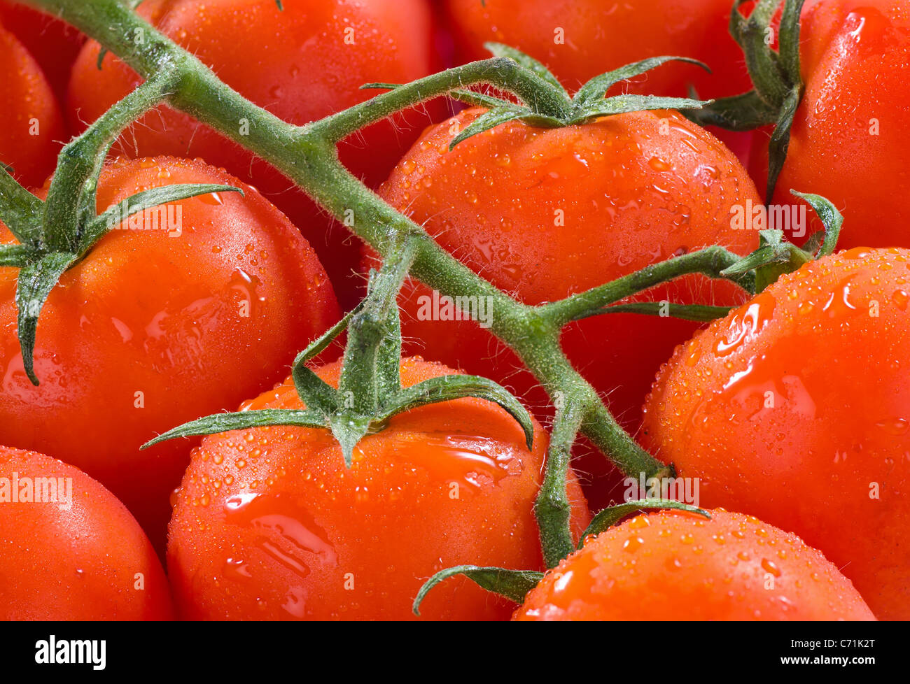 Tomatoes on the vine, a food background Stock Photo - Alamy