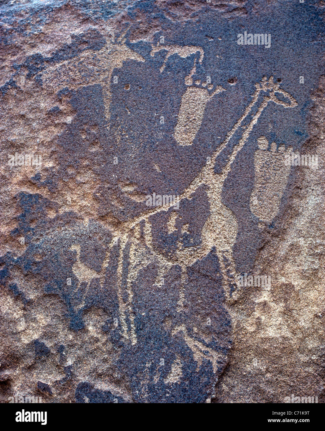 ancient Bushman engravings Stock Photo - Alamy