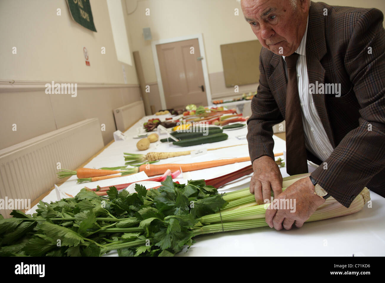 Judging Entries in the Kinghorn village vegetable and flower show Stock ...