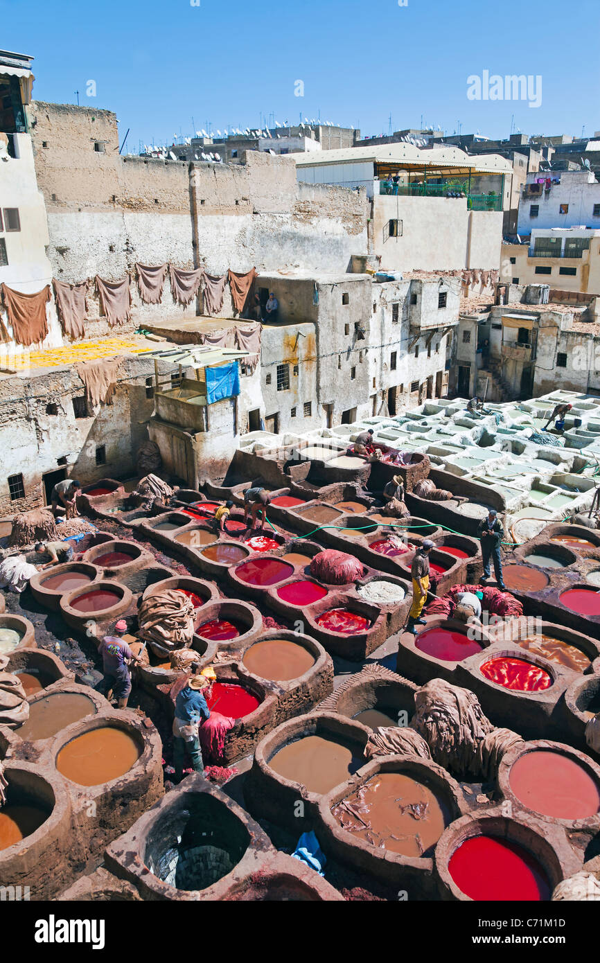Chouwara traditional leather tannery in Old Fez, vats for tanning and ...
