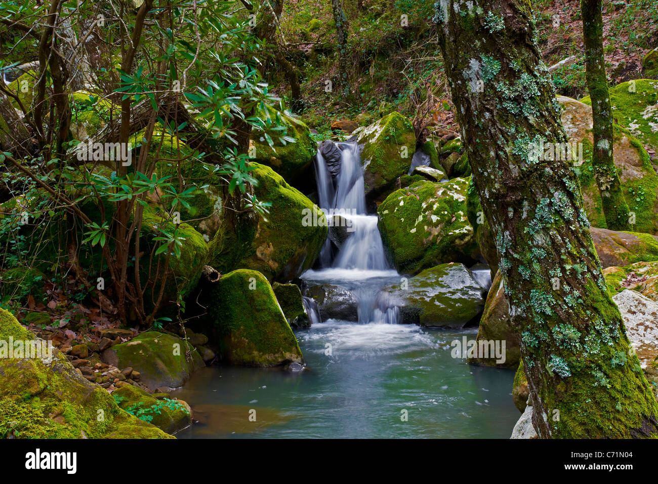 waterfalls river, Los Alcornocales andalusia natural park forest ...