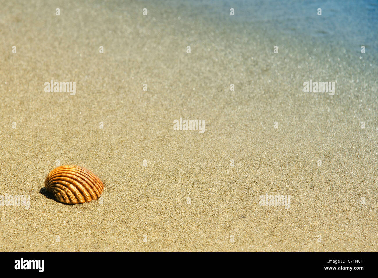 Playa del concha hi-res stock photography and images - Alamy