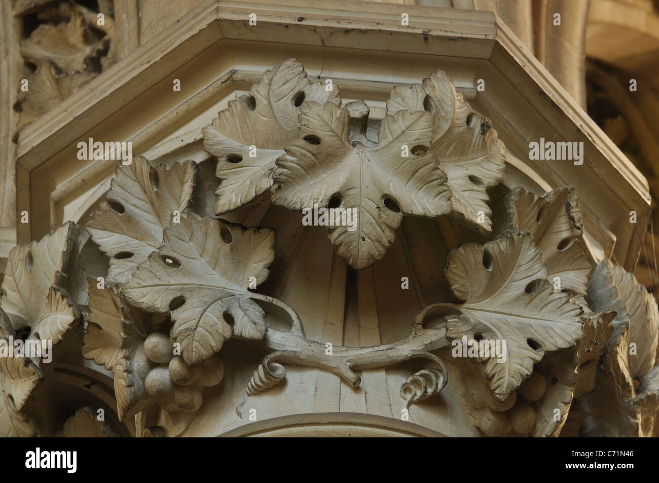 Carved vines hi-res stock photography and images - Alamy
