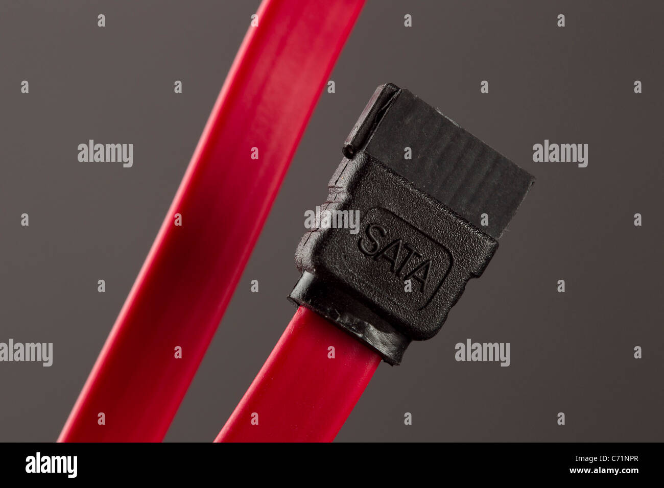 serial ata SATA computer cable red on grey background Stock Photo - Alamy
