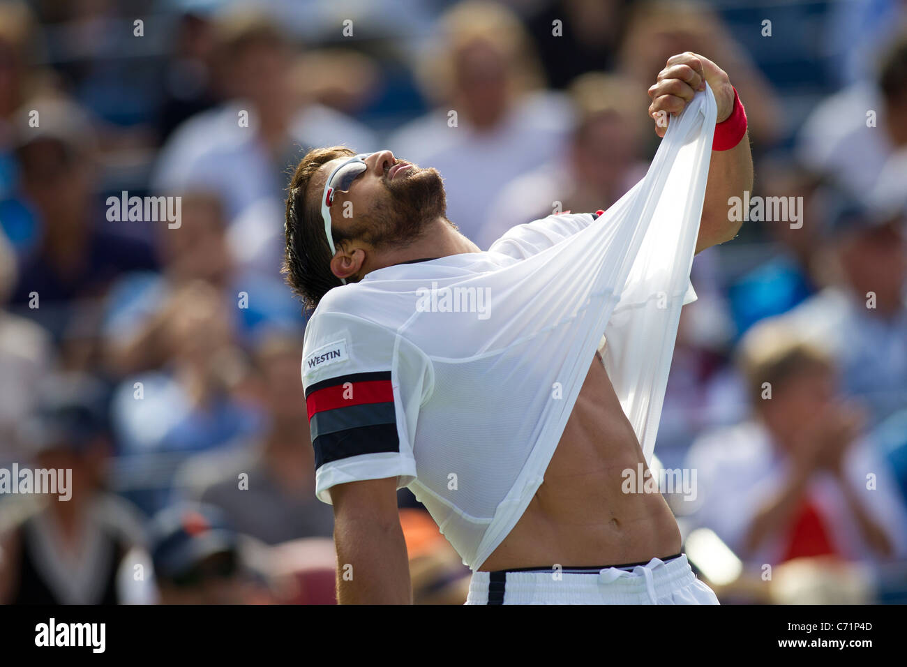 Janko Tipsarevic (SRB) competing at the 2011 US Open Tennis Stock Photo ...