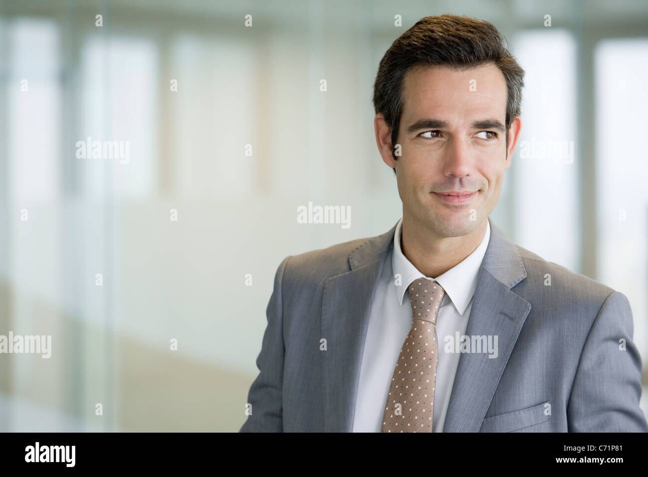 Male executive, portrait Stock Photo - Alamy