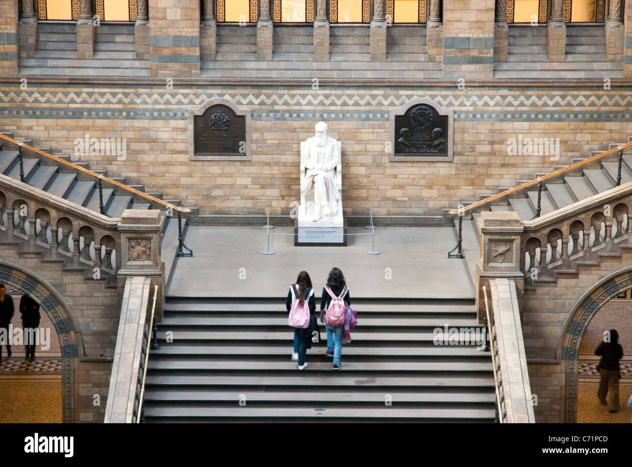 Charles darwin statue natural history hi-res stock photography and ...