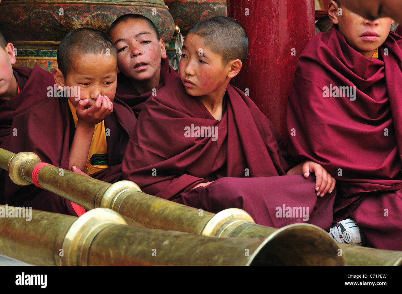 Young Buddhist monks during the Chaam Musk Dancing at Hemis Gompa Stock ...