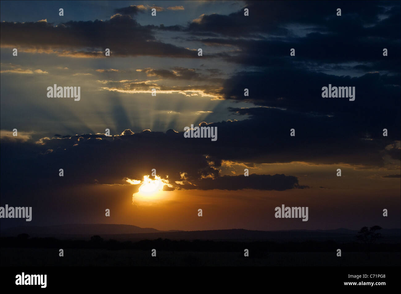 The African sunset Stock Photo - Alamy