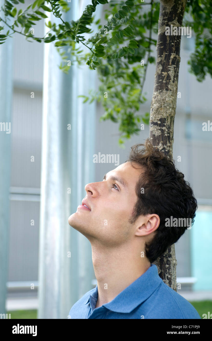 Man under tree Stock Photo - Alamy