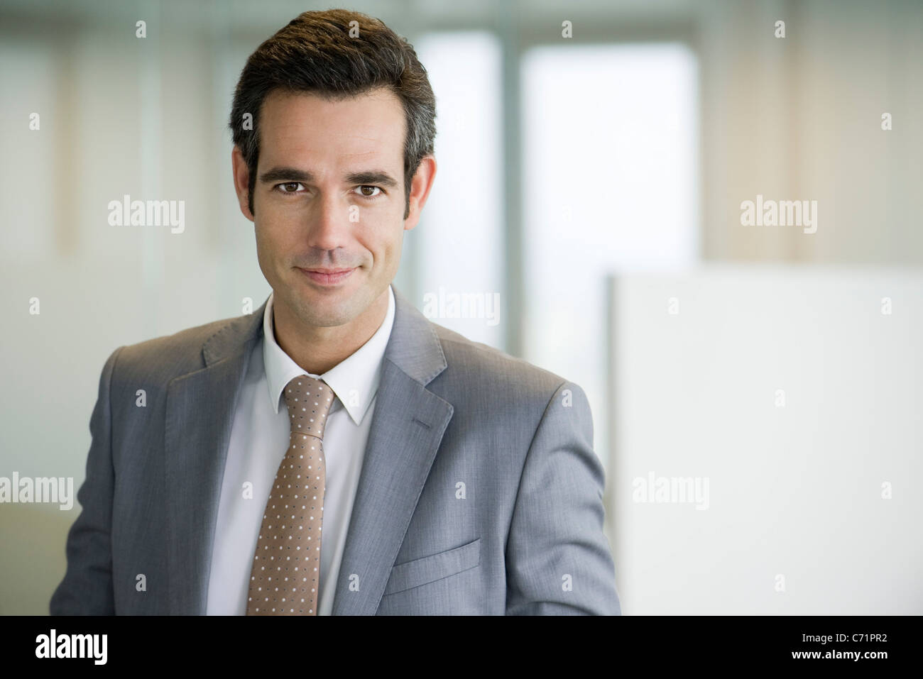 Male executive, portrait Stock Photo - Alamy