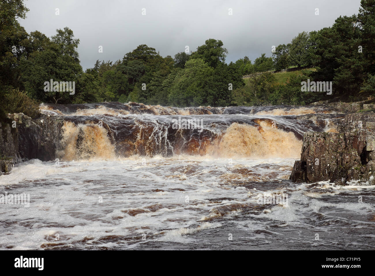 The River Tees at Low Force Waterfall in Flood Conditions Upper ...