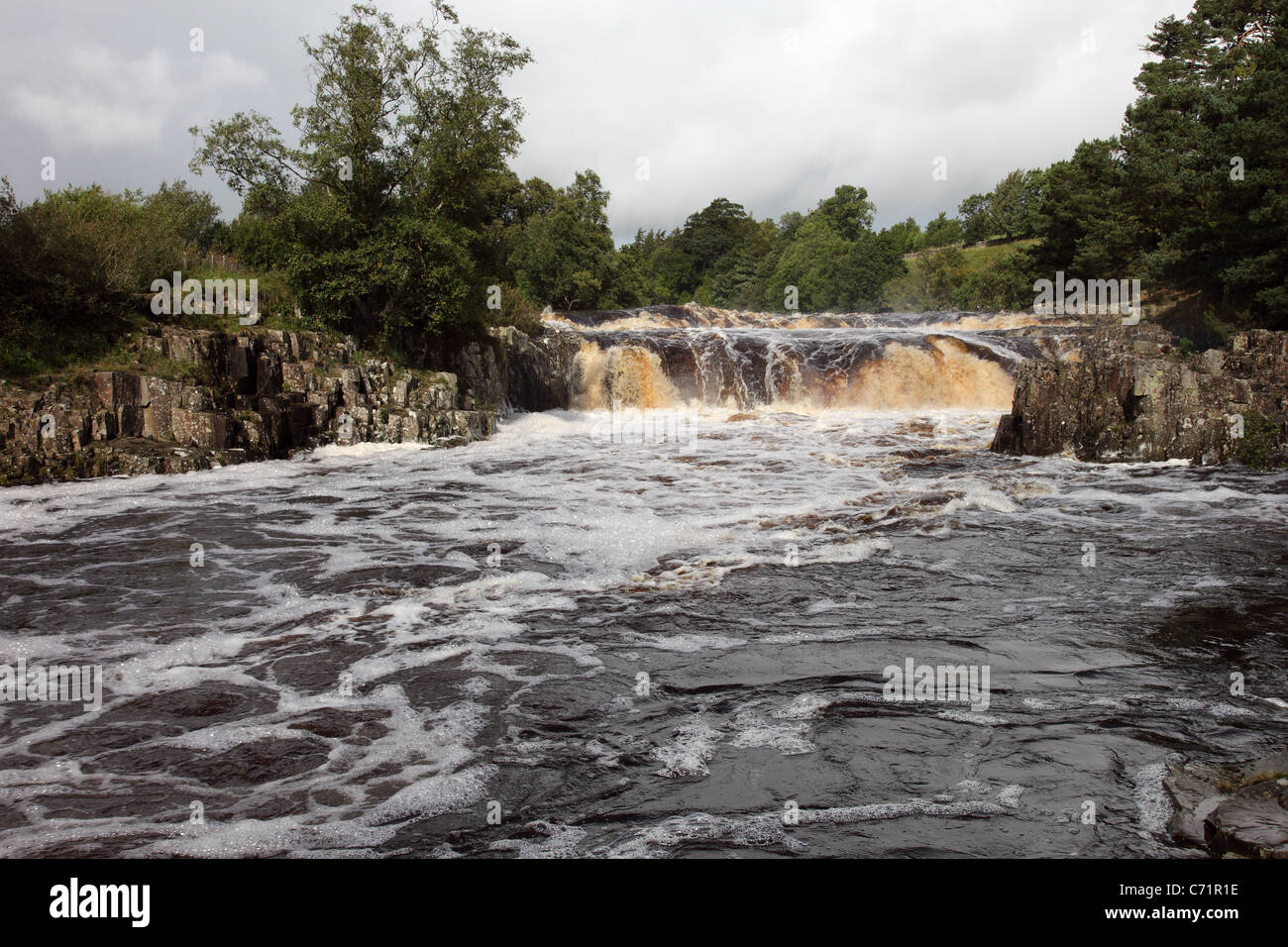 The River Tees at Low Force Waterfall in Flood Conditions Upper ...