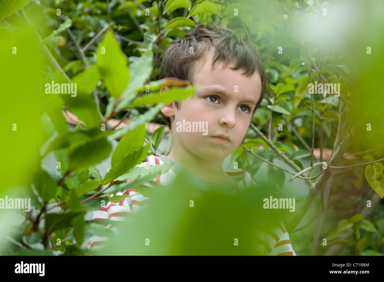 Pensive boy looking up in hi-res stock photography and images - Alamy