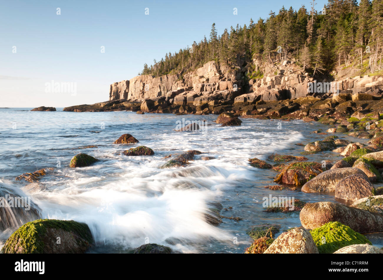 Otter cliffs early morning Acadia National park Maine usa Stock Photo ...