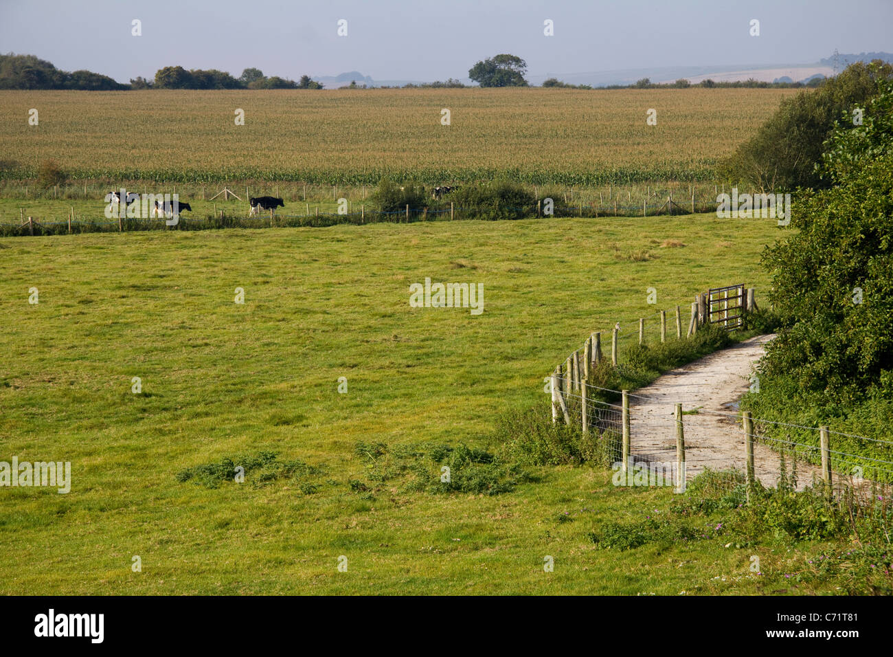Fields and curving path Beddingham South Downs East Sussex England UK ...