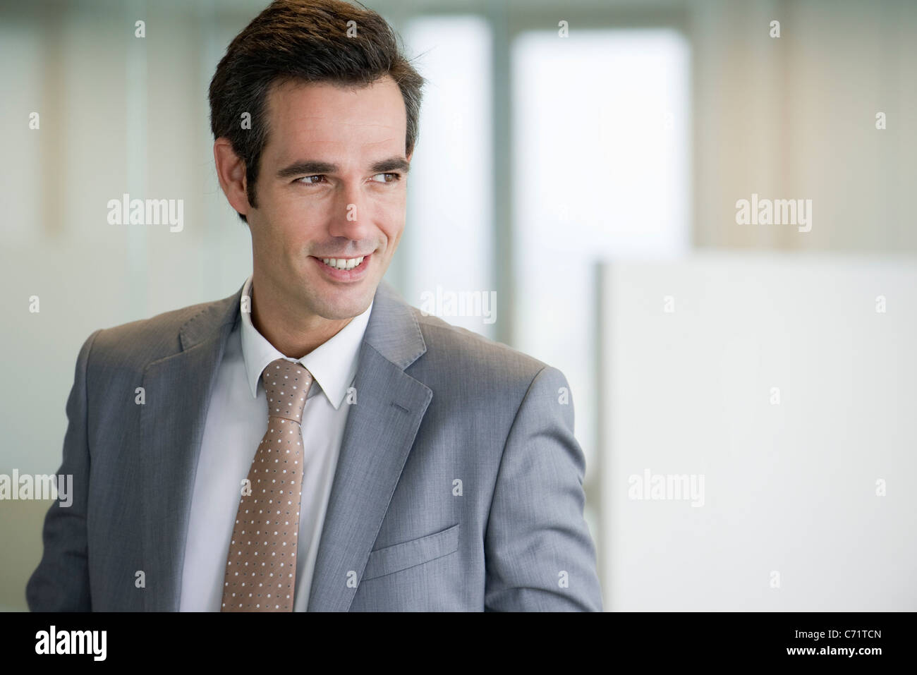 Male executive, portrait Stock Photo - Alamy