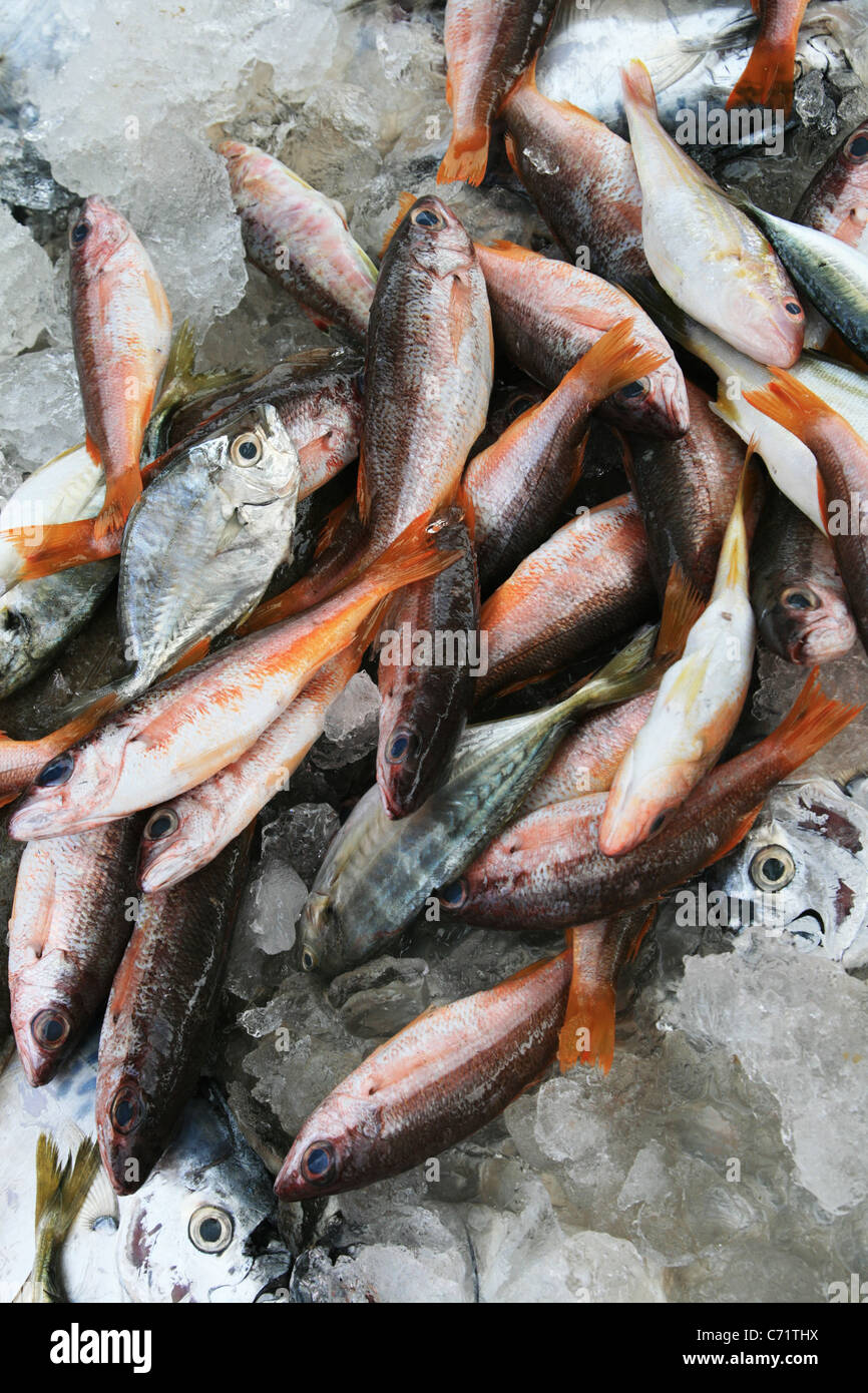 Whole fish on ice hi-res stock photography and images - Alamy