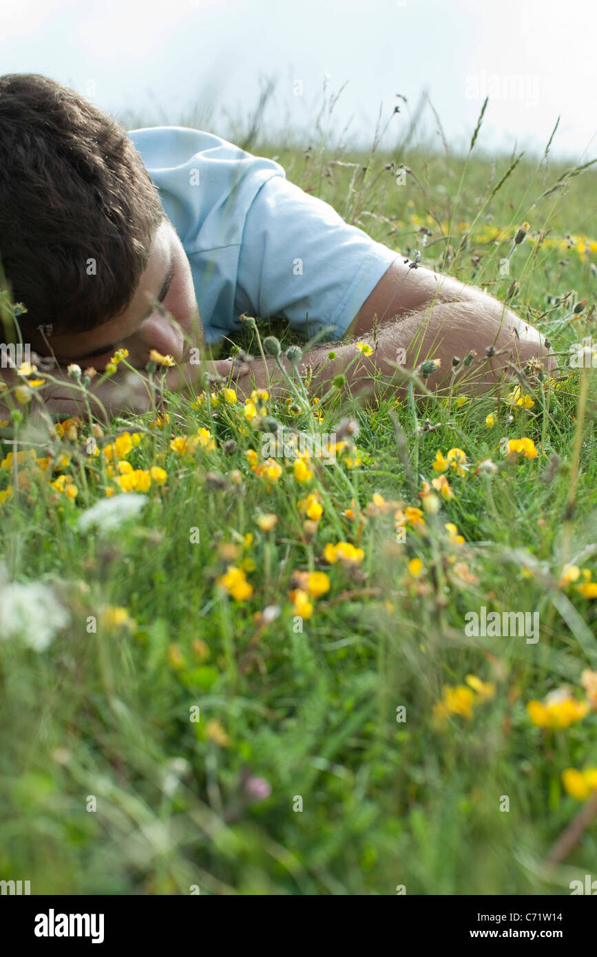Man napping on meadow Stock Photo - Alamy