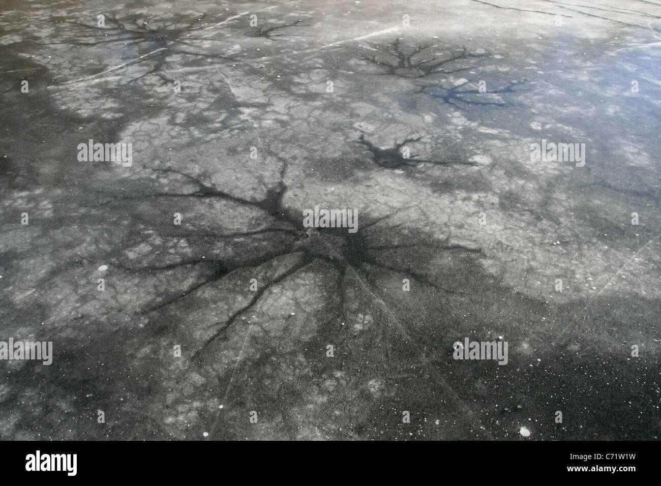 Frozen pond hi-res stock photography and images - Alamy