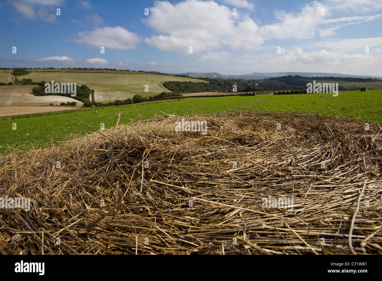 Haystacks in South Downs East Sussex England UK Stock Photo - Alamy