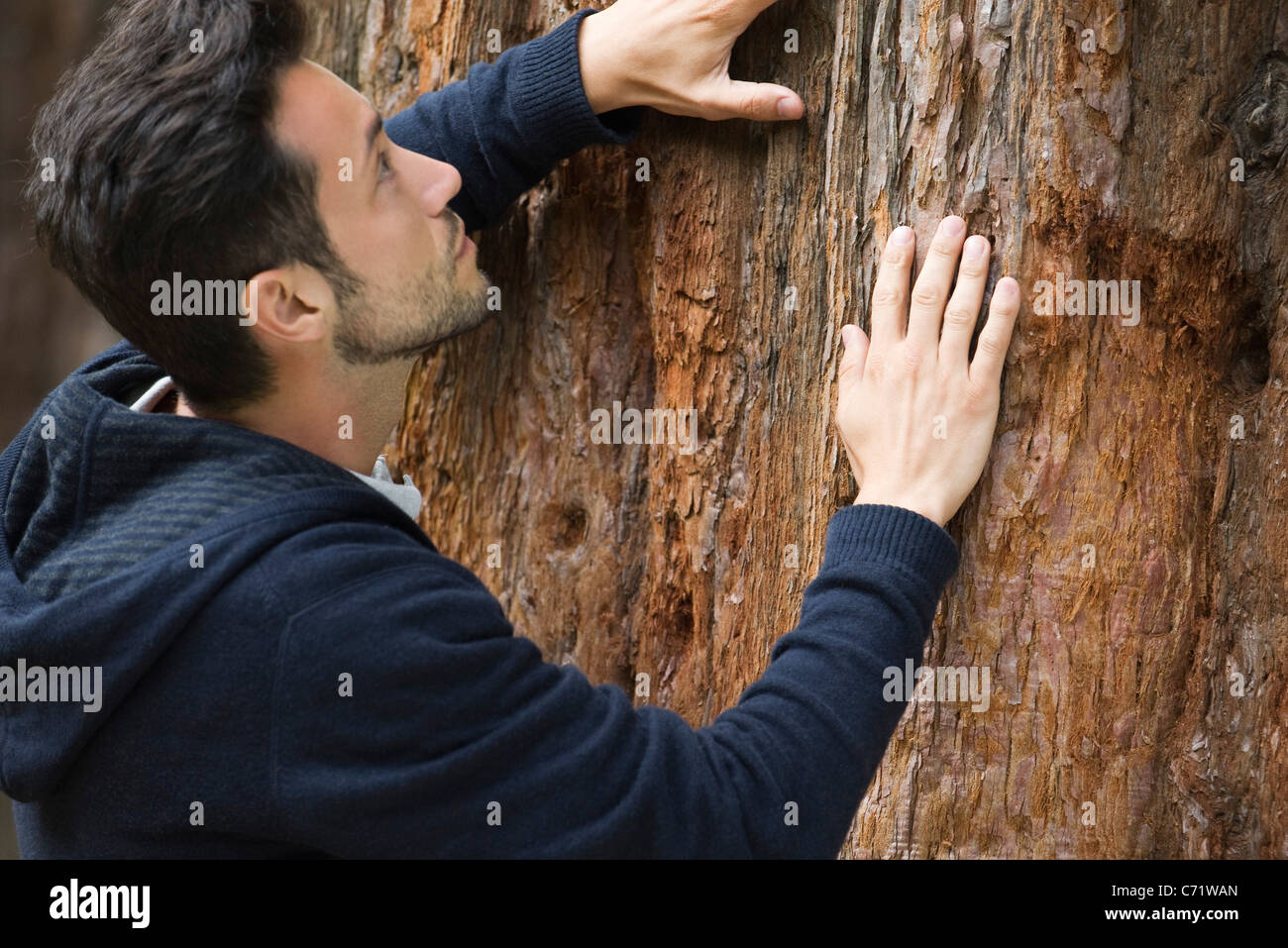 Man touching tree bark Stock Photo - Alamy