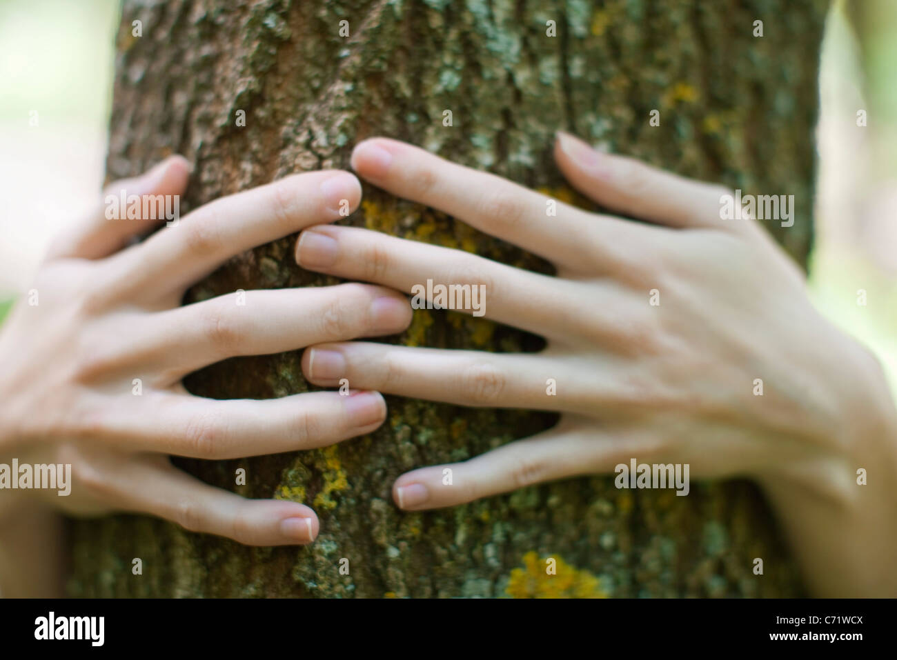 Woman's hands embracing tree Stock Photo - Alamy